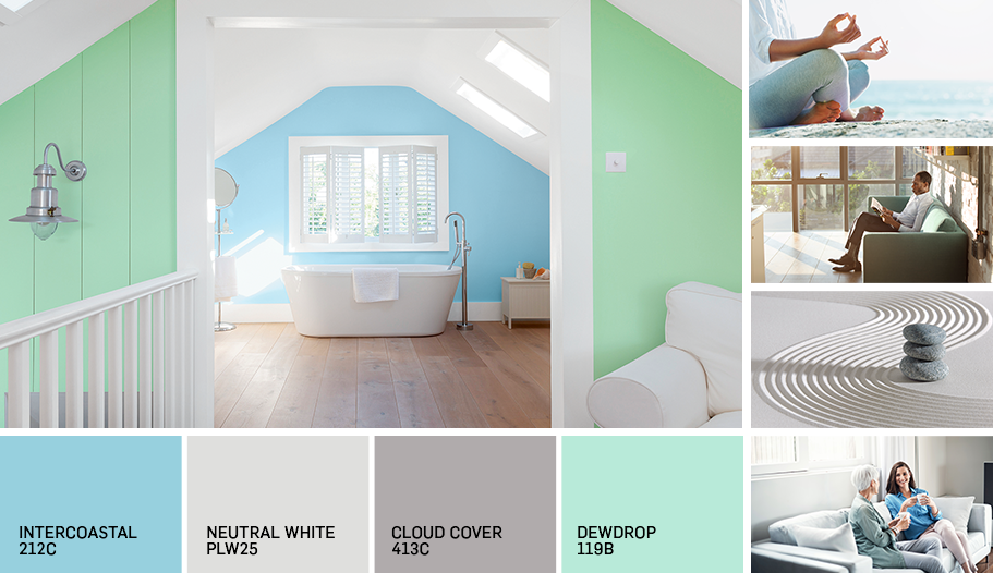 Paint | Co-op Home