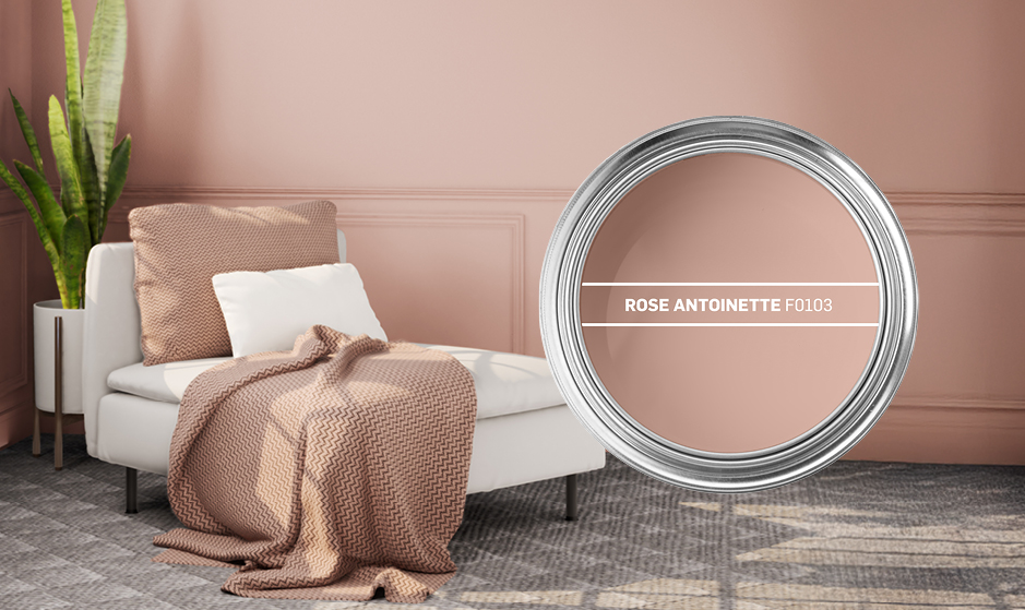 Paint | Co-op Home
