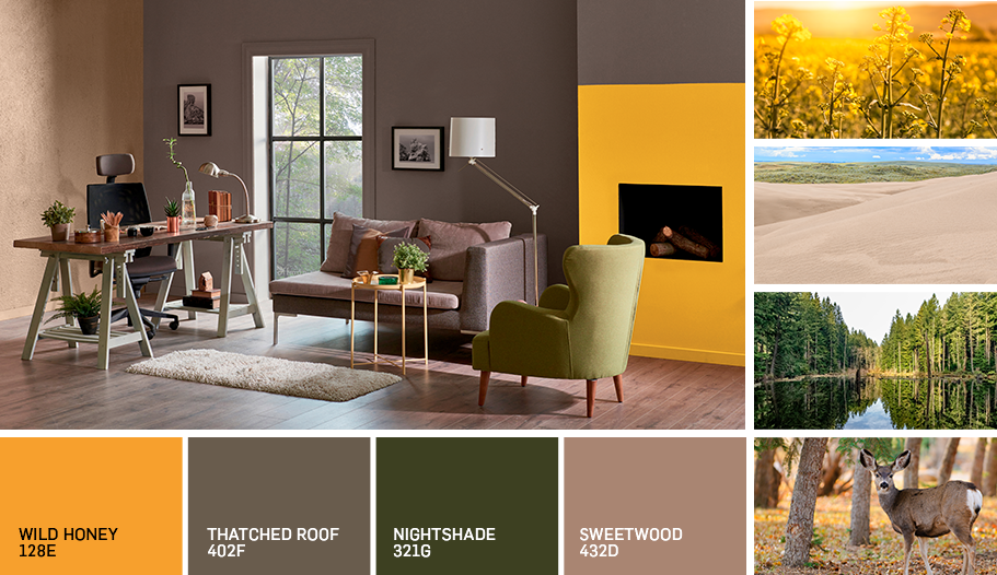 Paint | Co-op Home