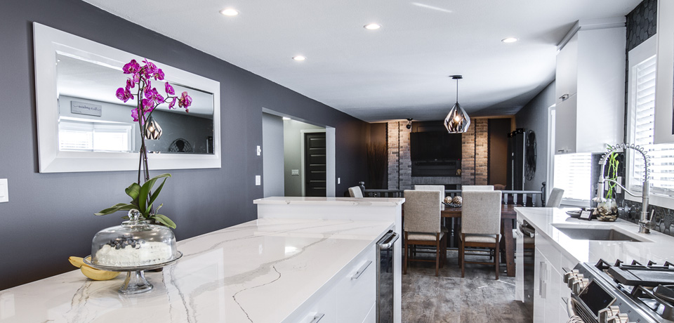 Expert advice for kitchen reno