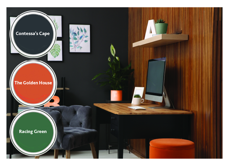 Paint | Co-op Home